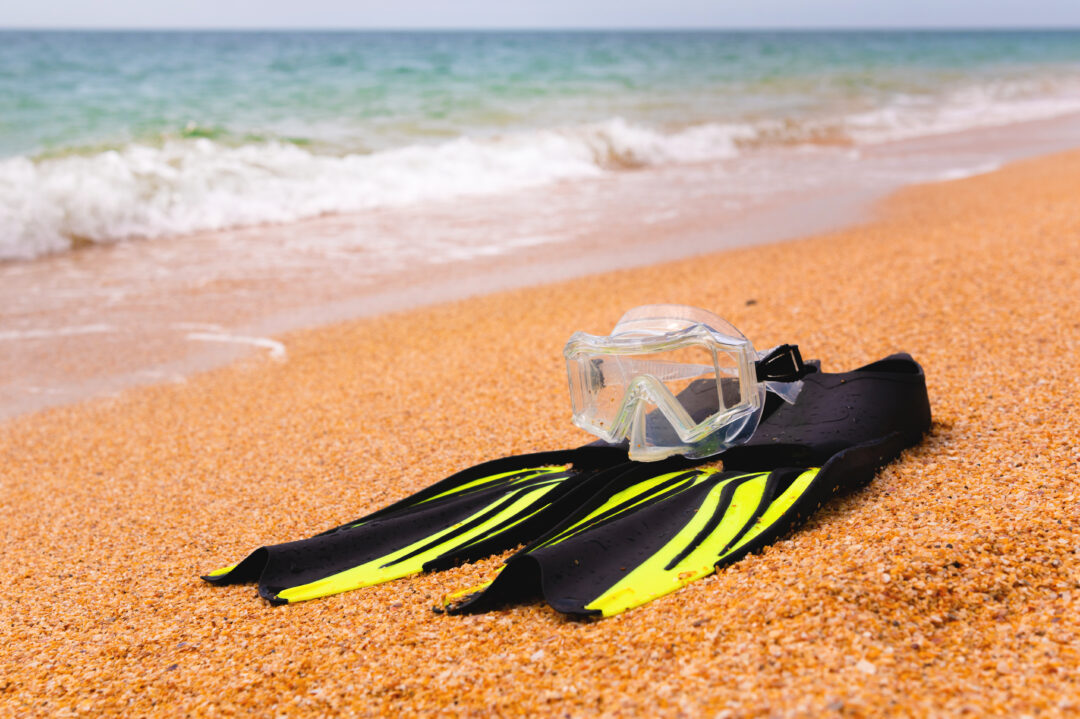 Scuba Diving Malaysia | Find Dive Centers & Top Dive Spots